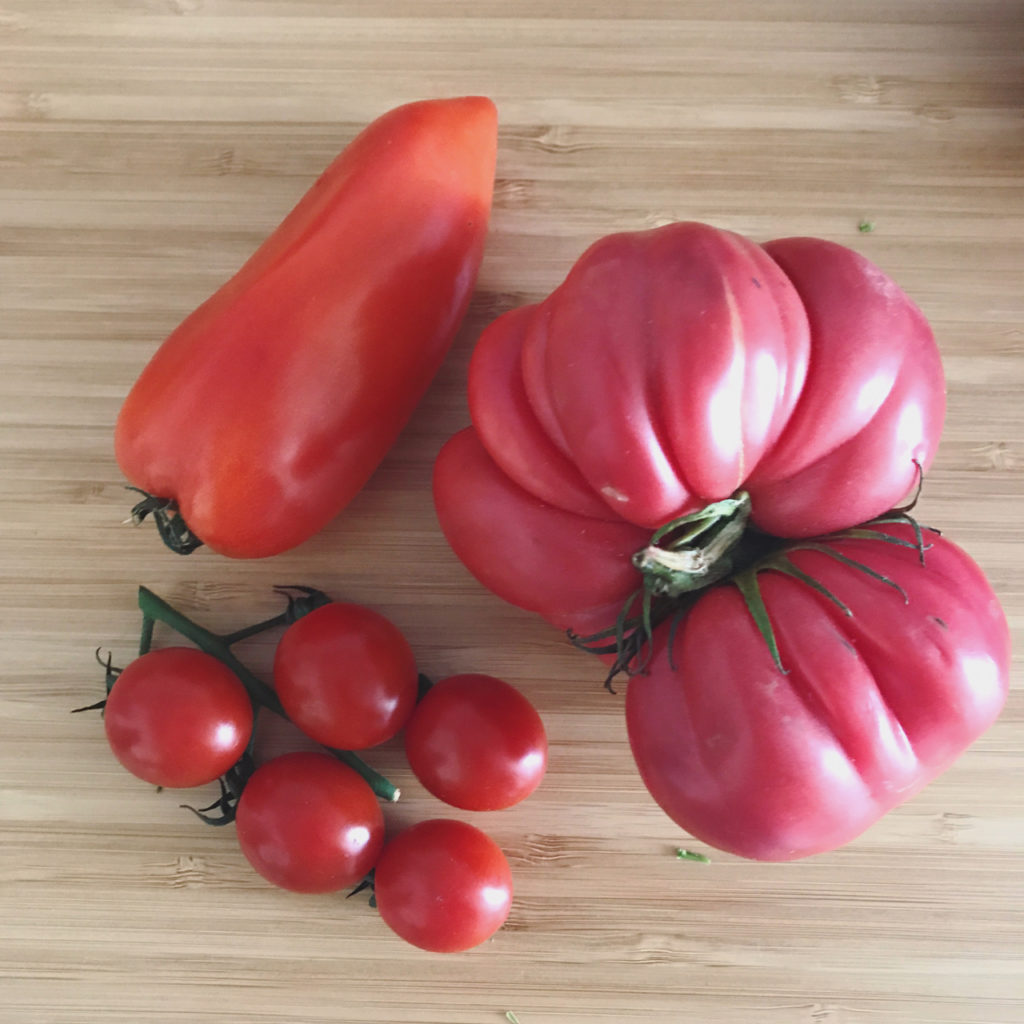 Bastidores de uma turnê – Parte 2: Espanha