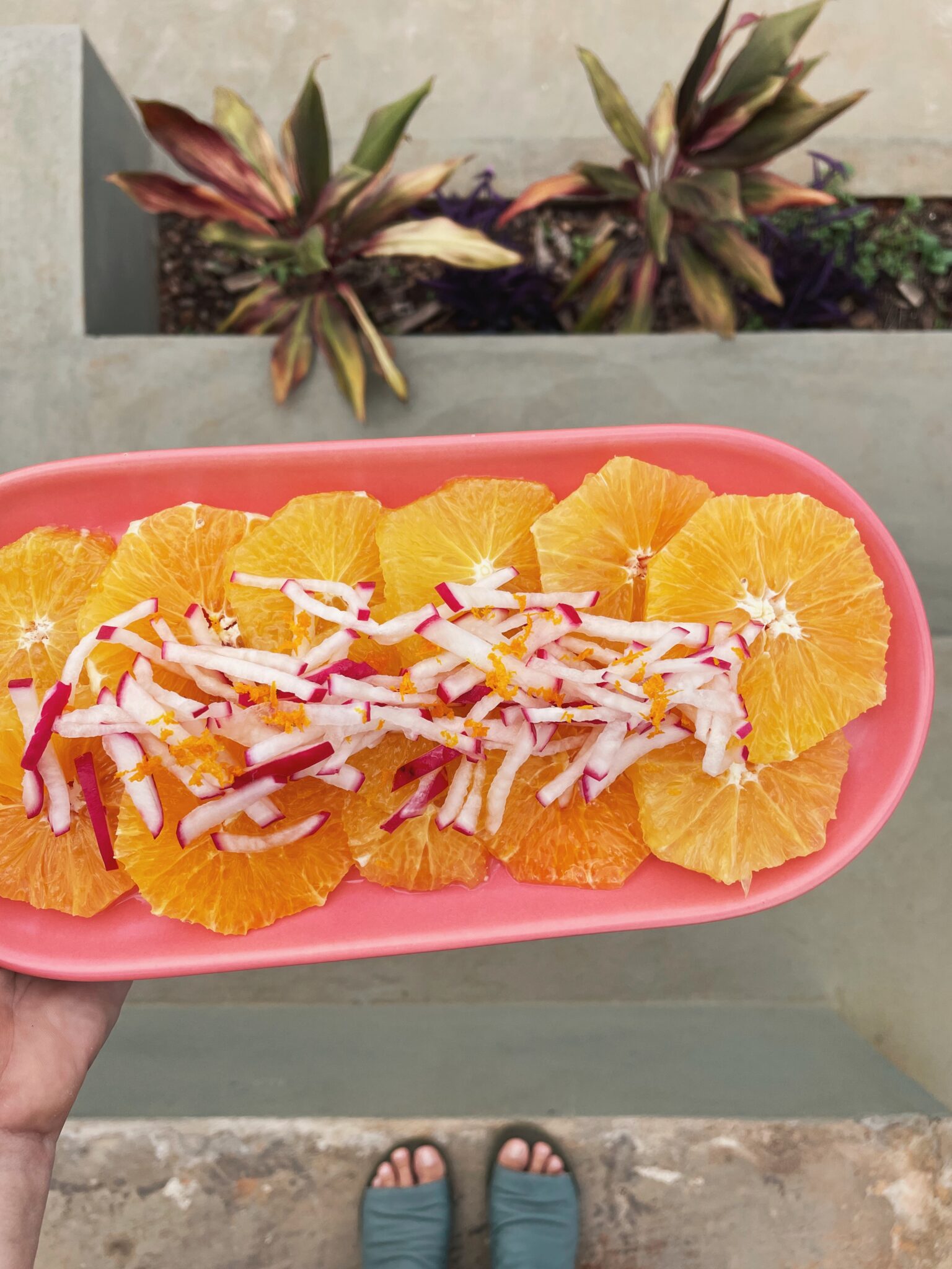 salada de laranja e rabanete